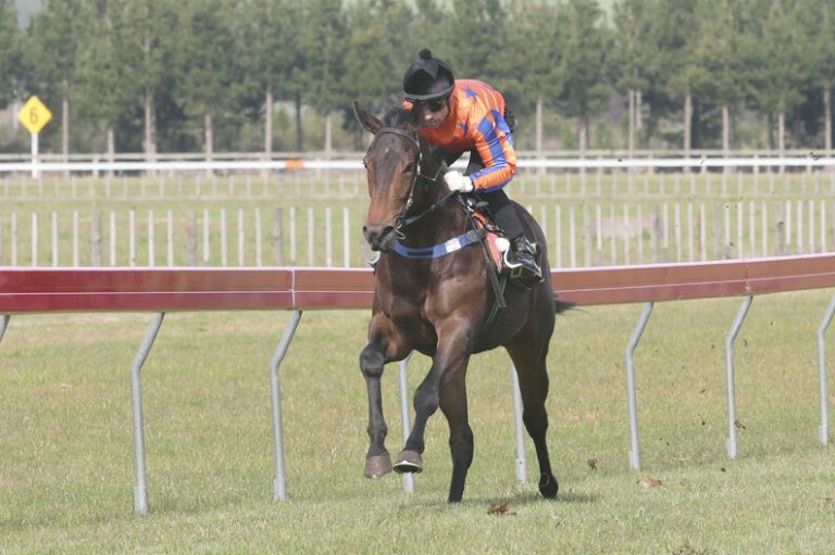TE AKAU JUVENILES TO THE FORE AT TE TEKO – BOAY Racing News