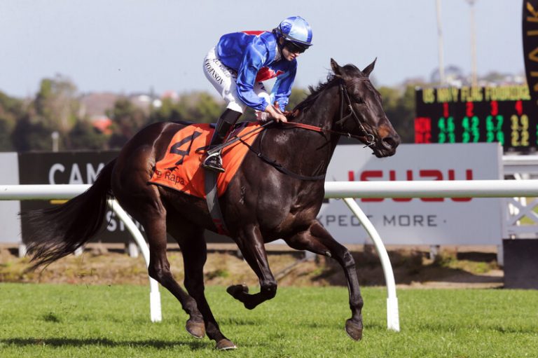 TEAM ROGERSON IN DOMINANT FORM AT TE RAPA – BOAY Racing News