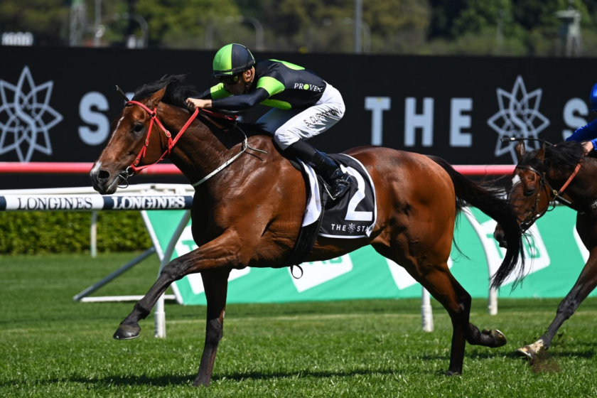 Stockman Melbourne Cup bound following St Leger win – BOAY Racing News