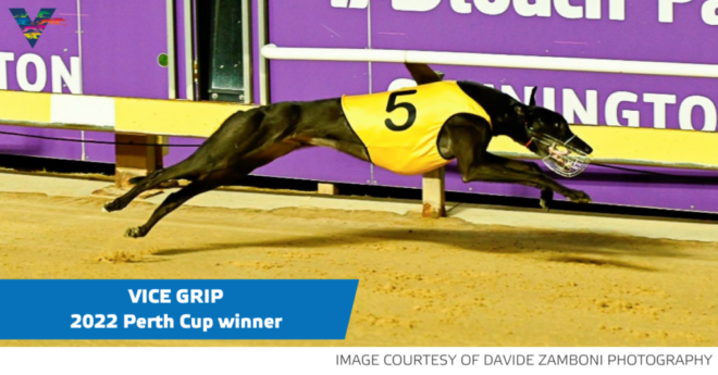 Vice Grip’s fairy tale finish – BOAY Racing News