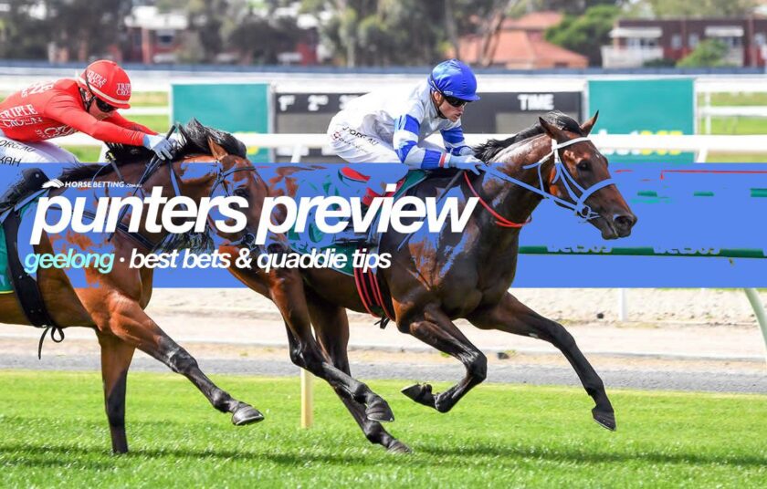 Geelong races preview & quaddie | Geelong Cup Day 2023 – BOAY Racing News