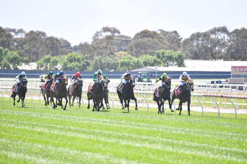 Geelong Cup Day 2024 race replays, results & exotics dividends – BOAY ...