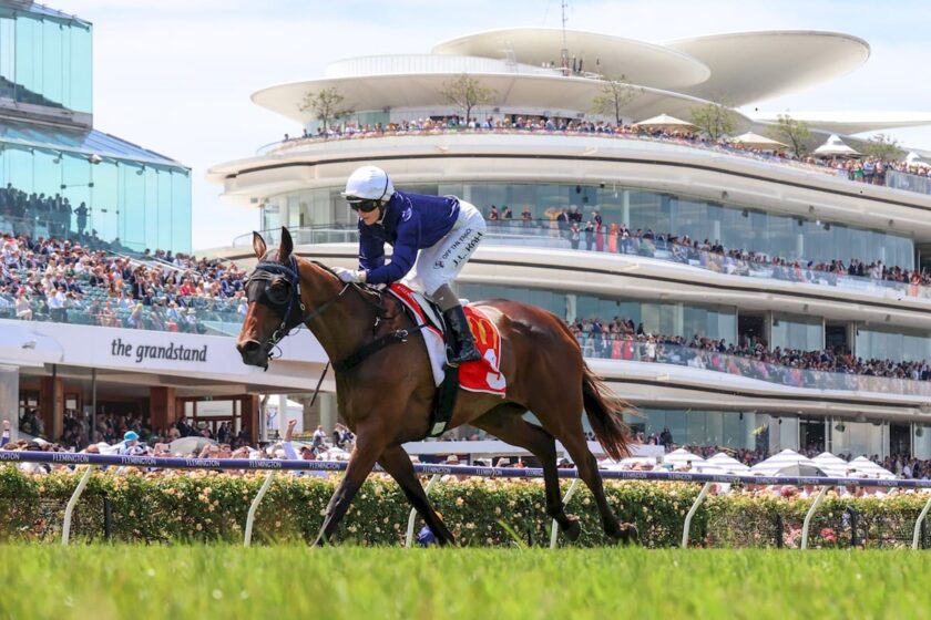 Can The Map win the 2024 Melbourne Cup? – BOAY Racing News