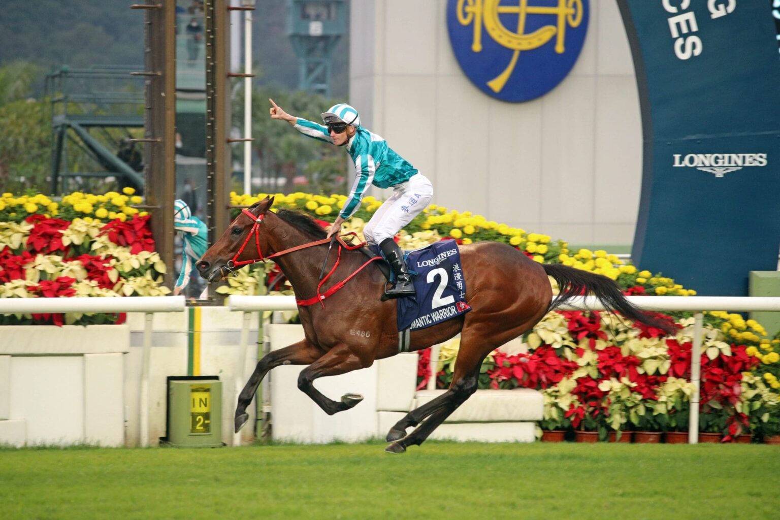 Sha Tin race replays, full results & dividends | HKIR 2024 – BOAY ...